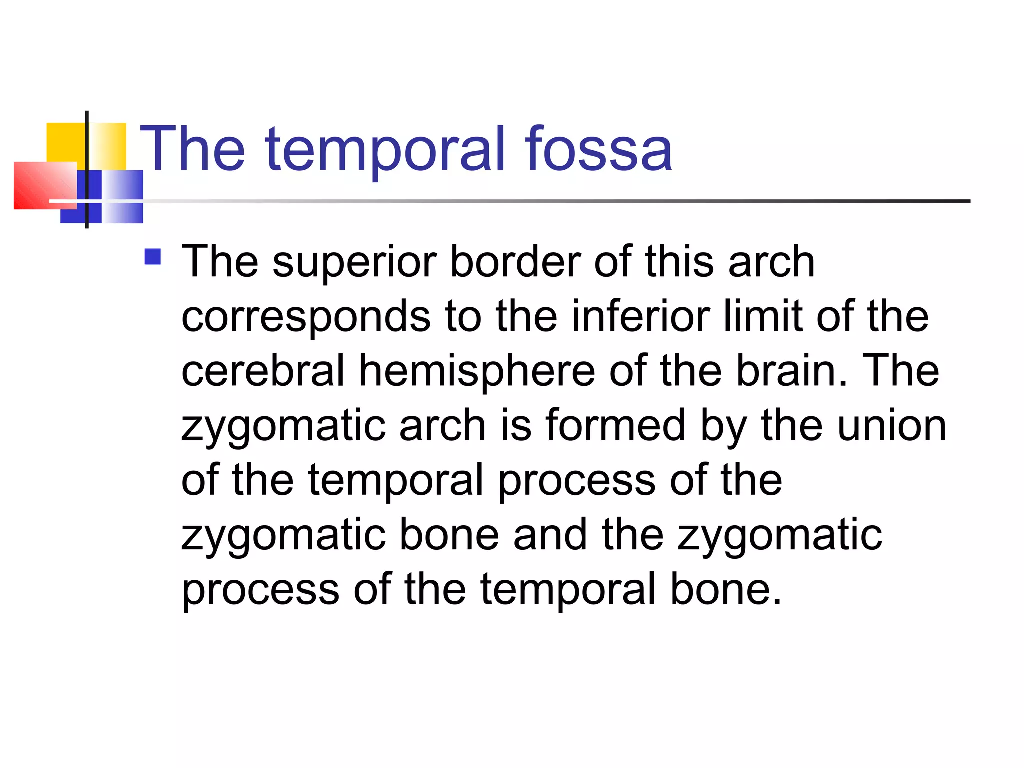 Infratemporal fossa | PPT