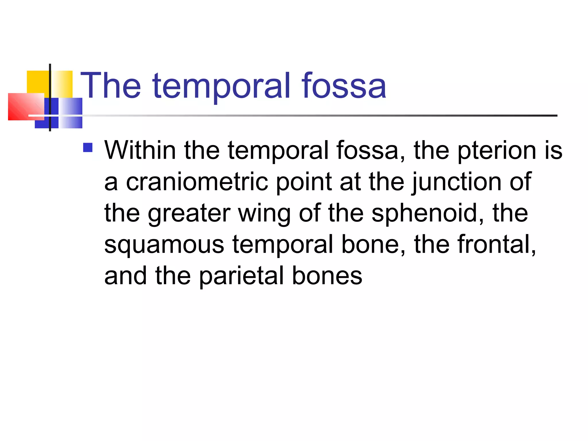 Infratemporal fossa | PPT