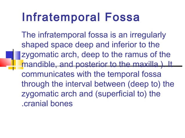 Infratemporal fossa | PPT