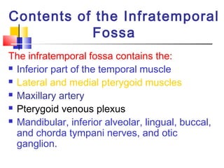 Infratemporal Fossa Contents Mnemonic