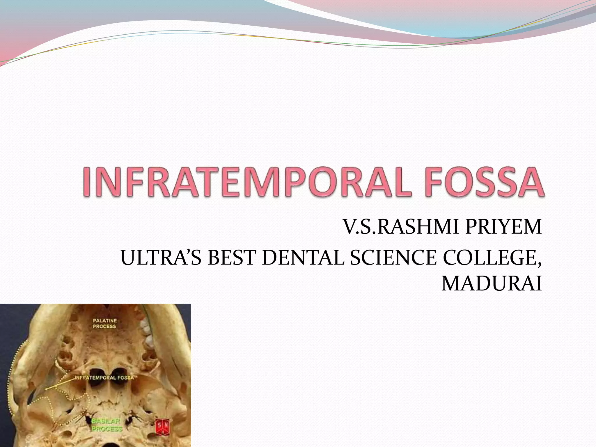 Infratemporal Fossa | PPTX