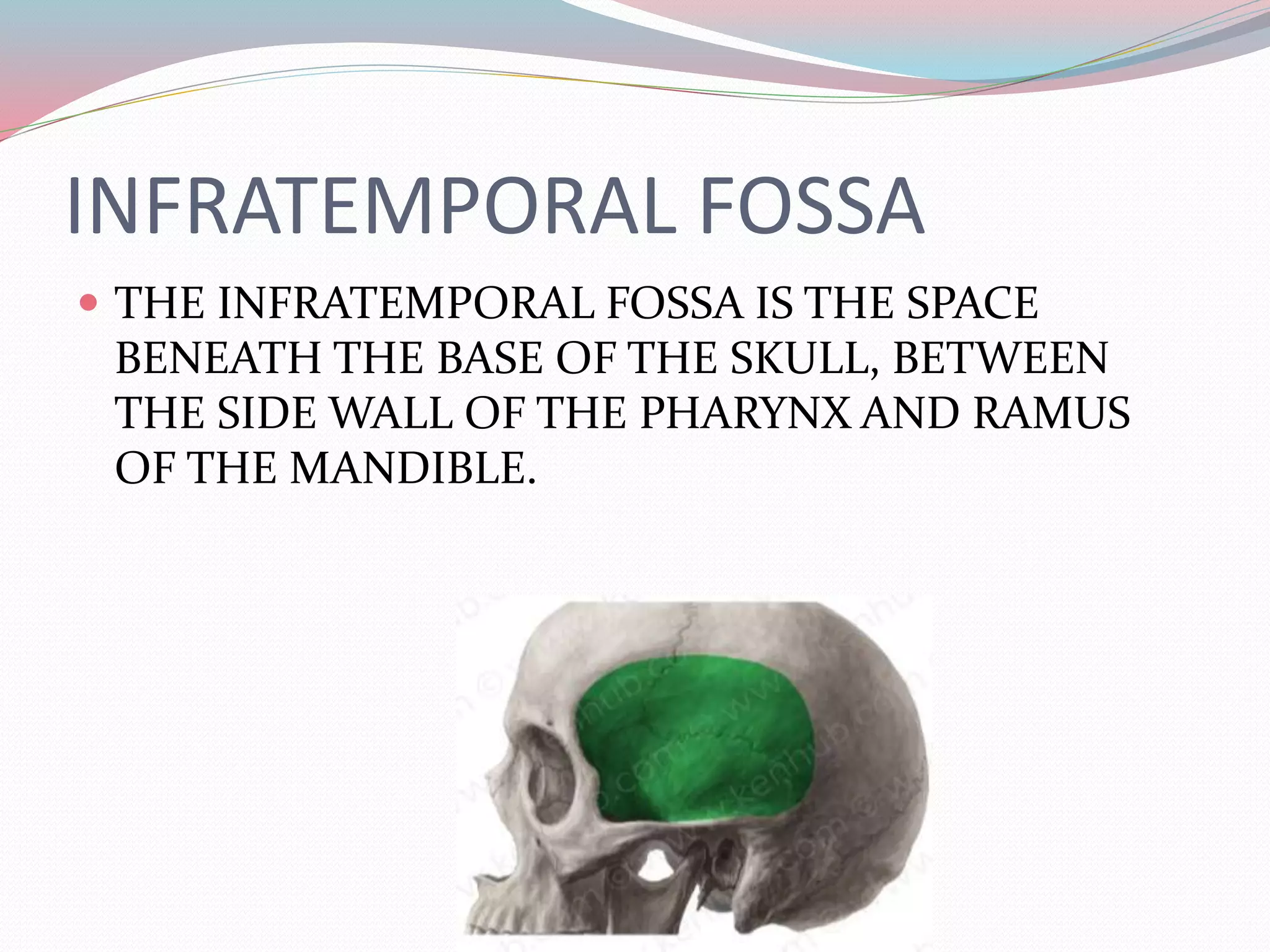 Infratemporal Fossa | PPTX