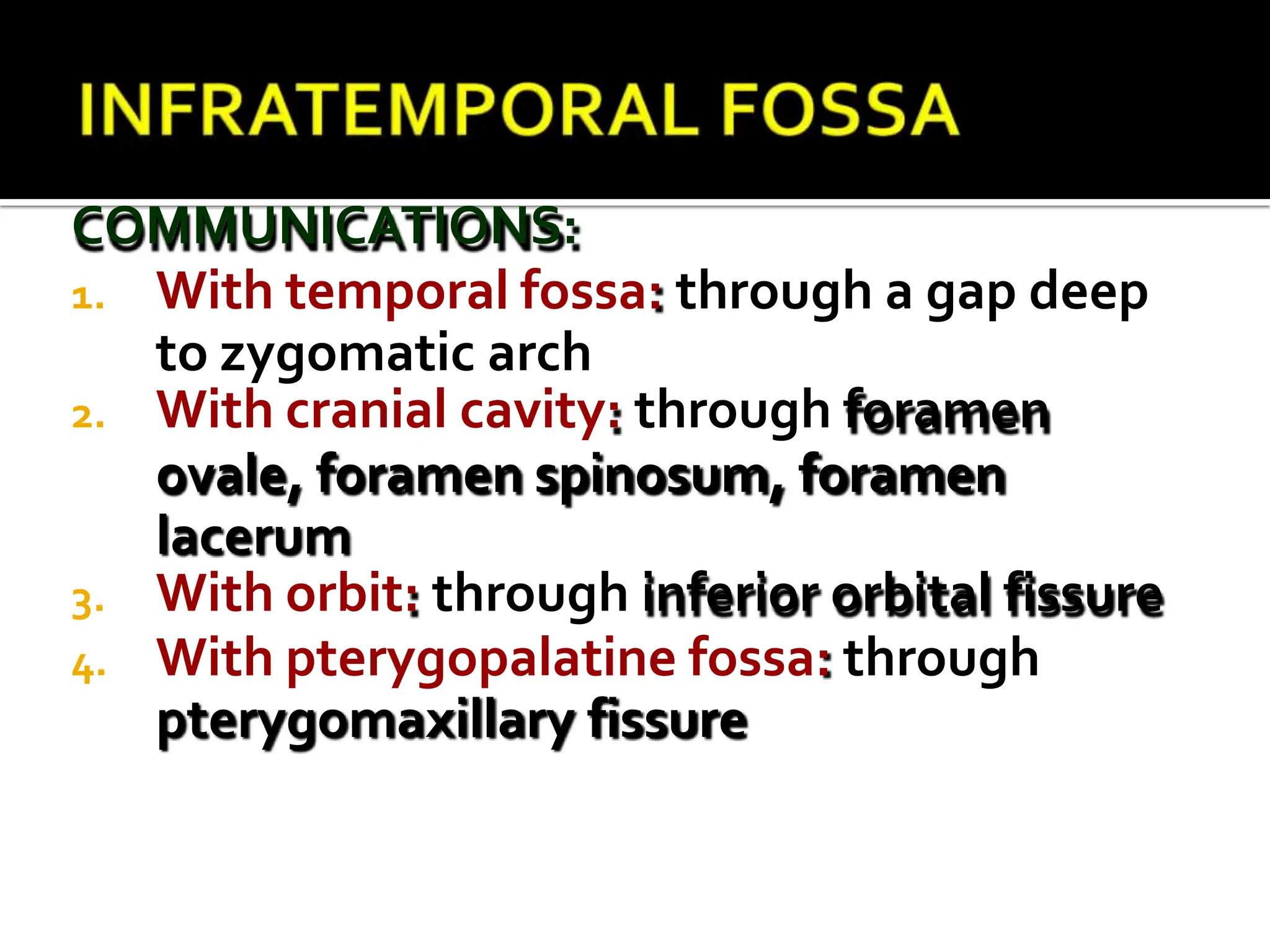 infra temporal fossa anatomy relaterd .pptx