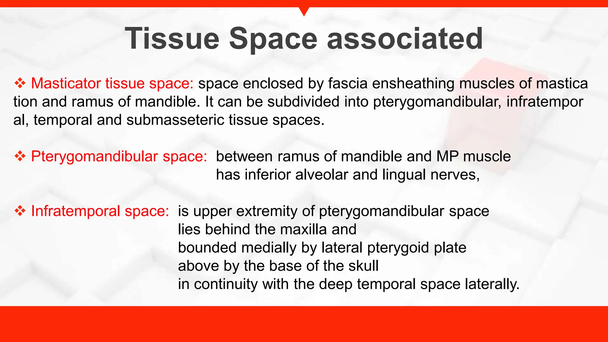 INFRATEMPORAL FOSSA AND PTERYGOPALATINE FOSSA NEW.pptx