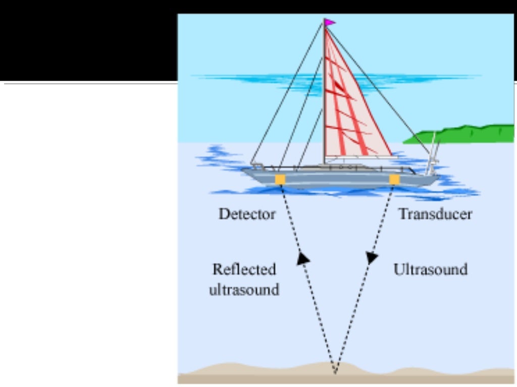 Infrazvuk i-ultrazvuk