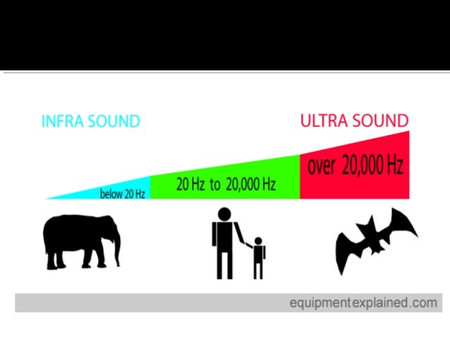 Infrazvuk i-ultrazvuk