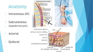 Infusion pump | PPTX