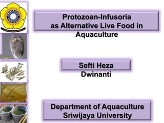 Infusoria in Aquaculture | PPT