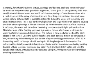 Infusoria in Aquaculture | PPT