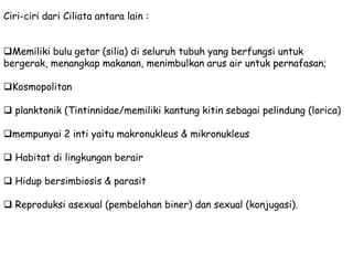 Infusoria in Aquaculture | PPT