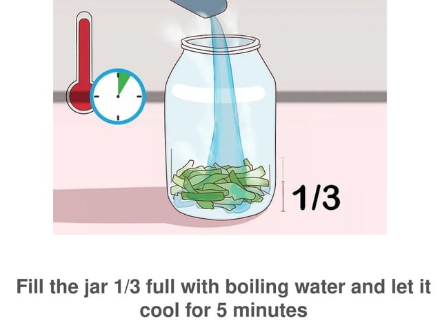 infusorian culture as fish food organisms | PPTX