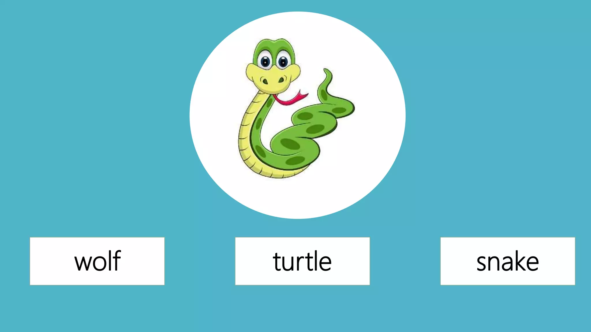 Animals / Prepositions of place | PPTX