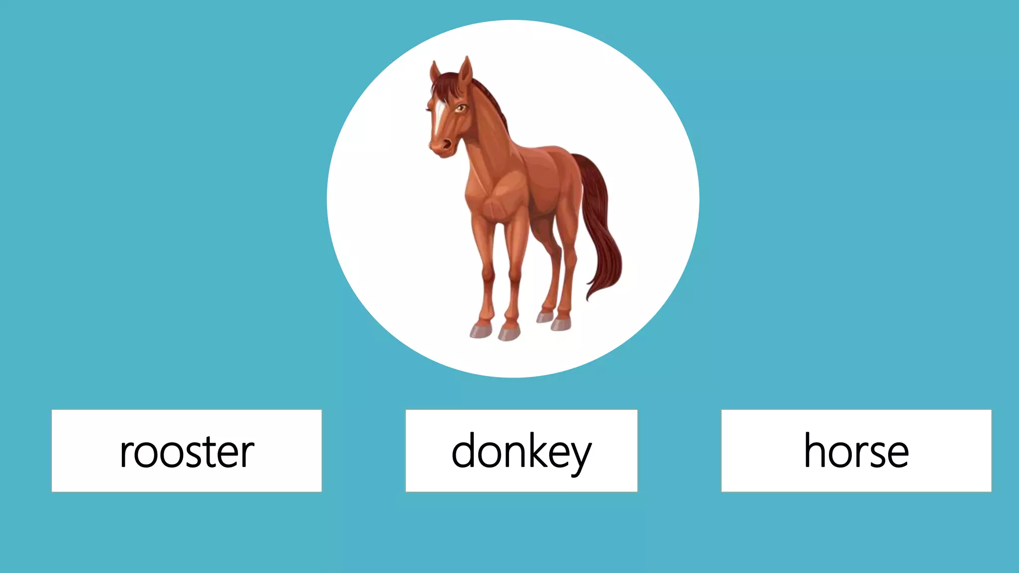 Animals / Prepositions of place | PPTX