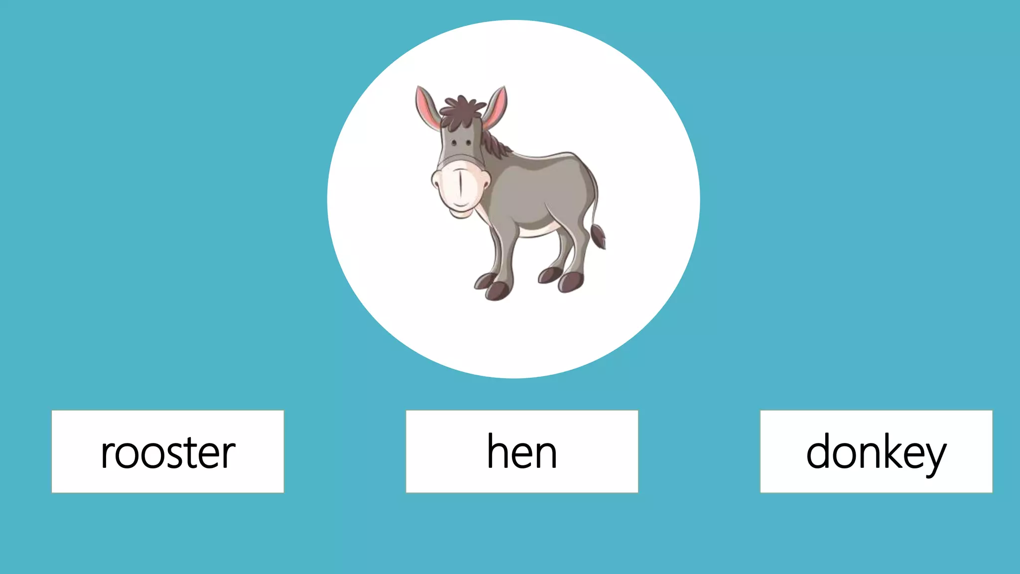 Animals / Prepositions of place | PPTX