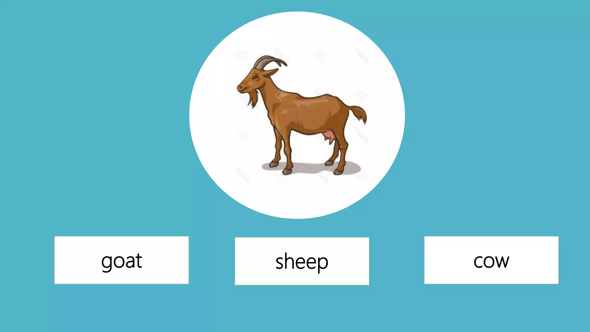 Animals / Prepositions of place | PPTX