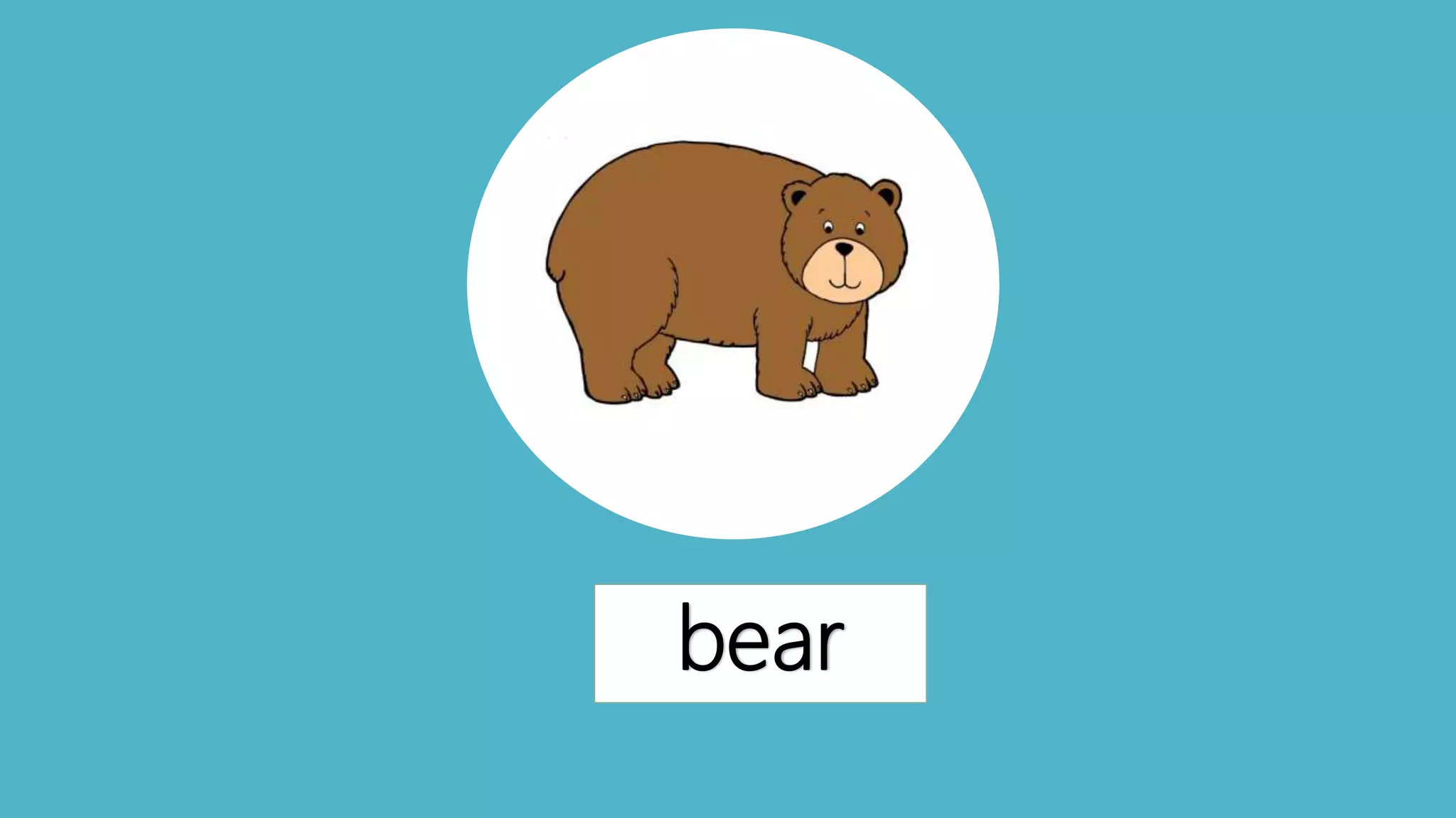 Animals / Prepositions of place | PPTX