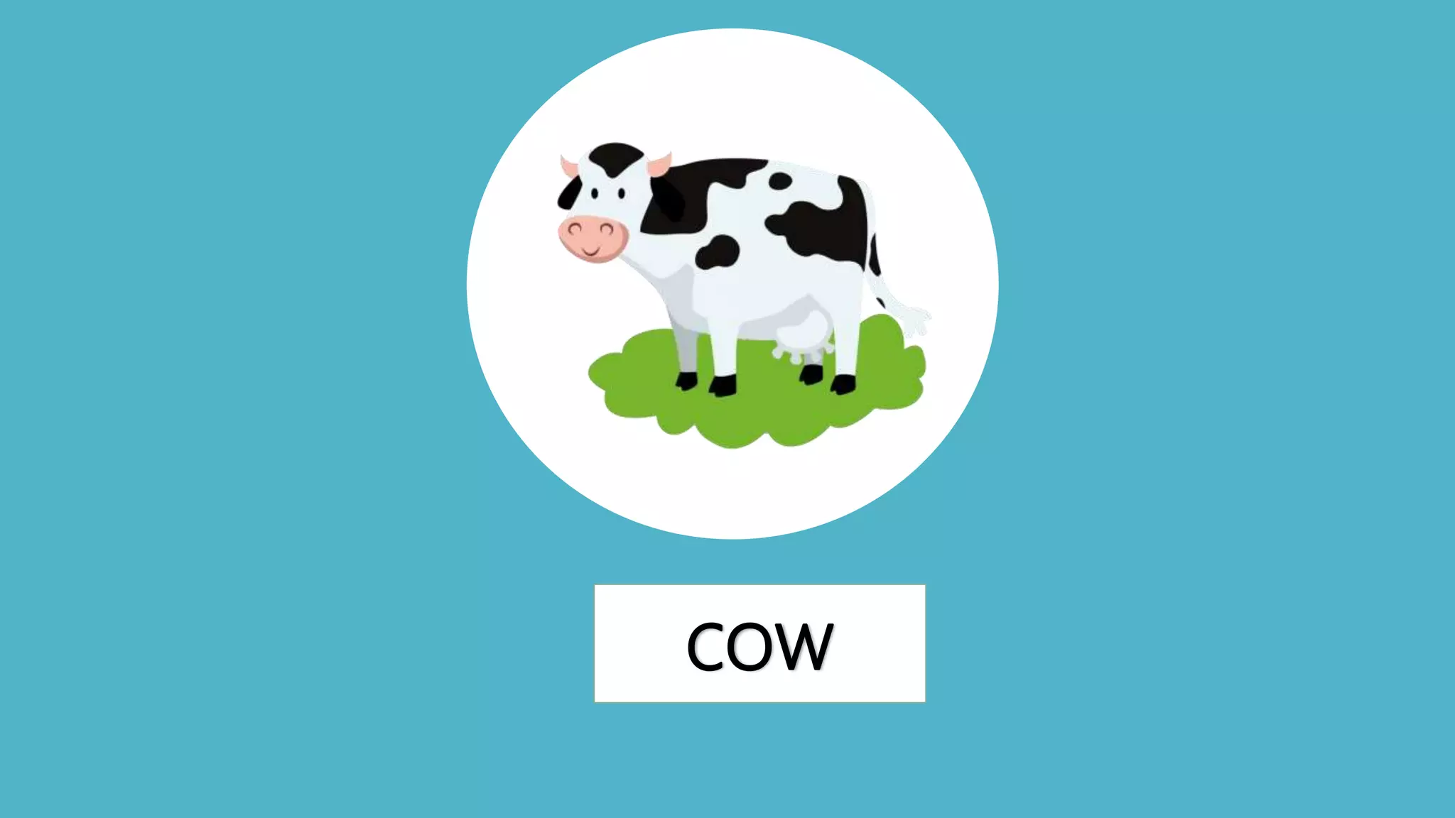 Animals / Prepositions of place | PPTX