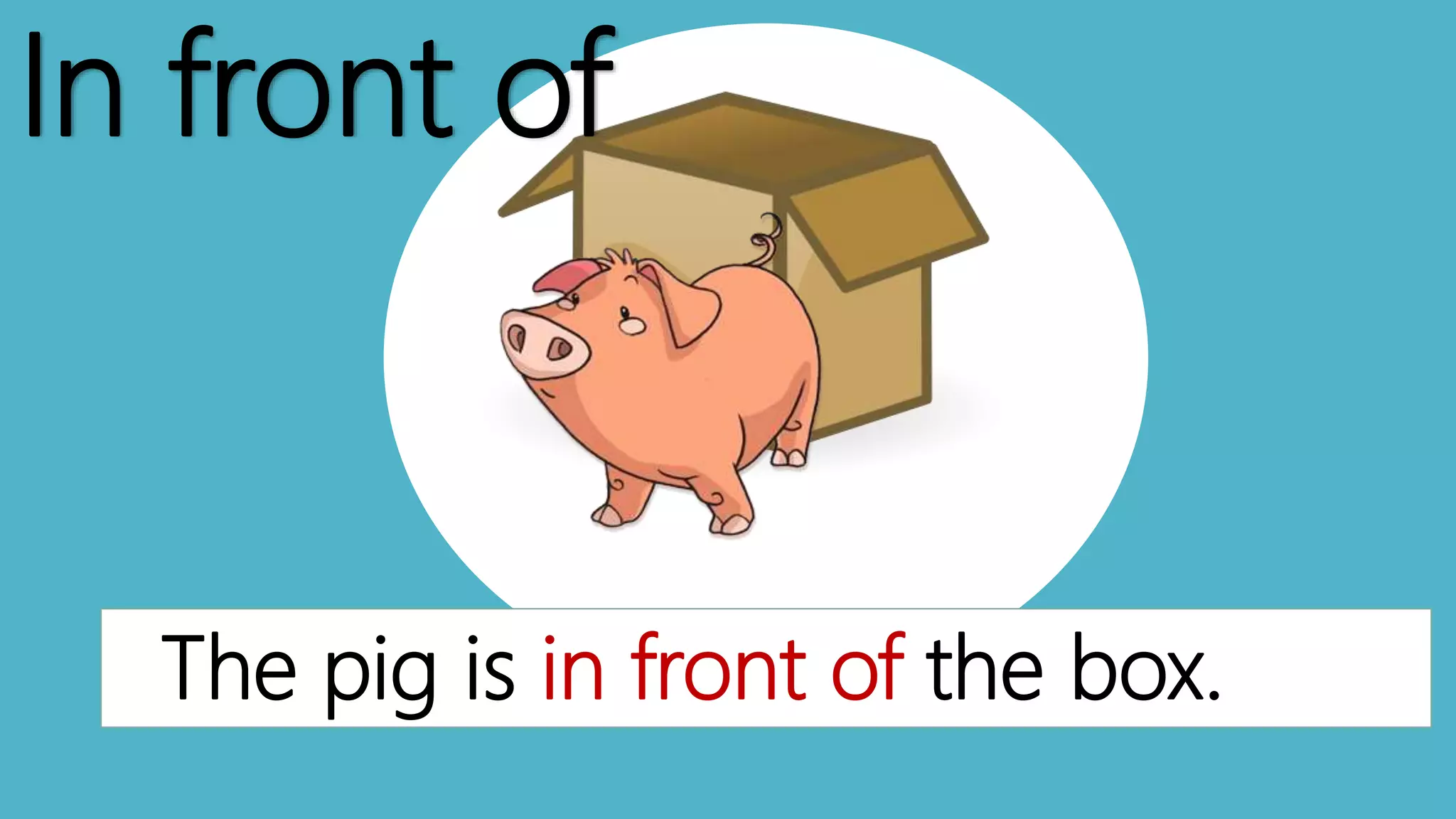 Animals / Prepositions of place | PPTX