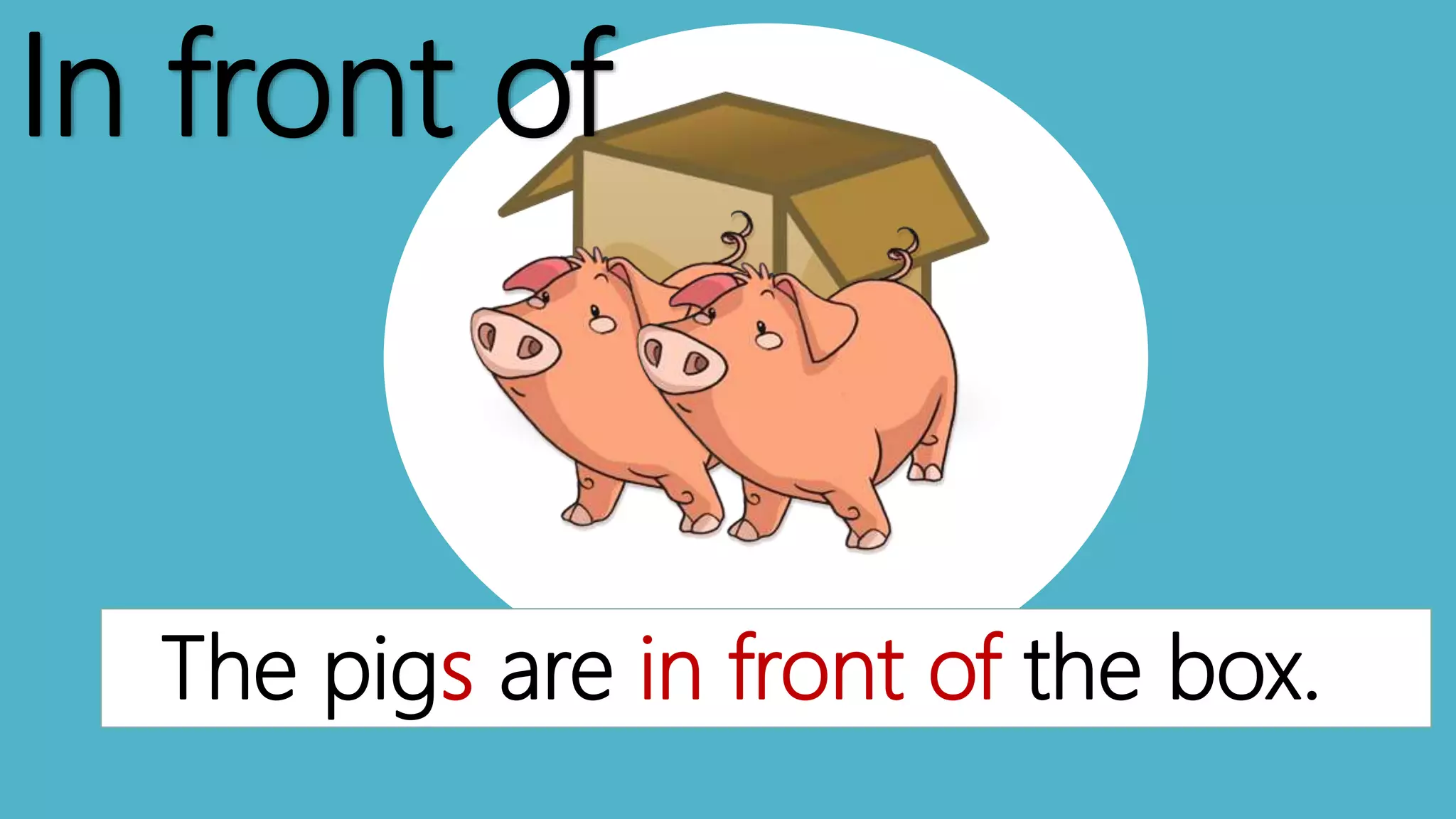 Animals / Prepositions of place | PPTX