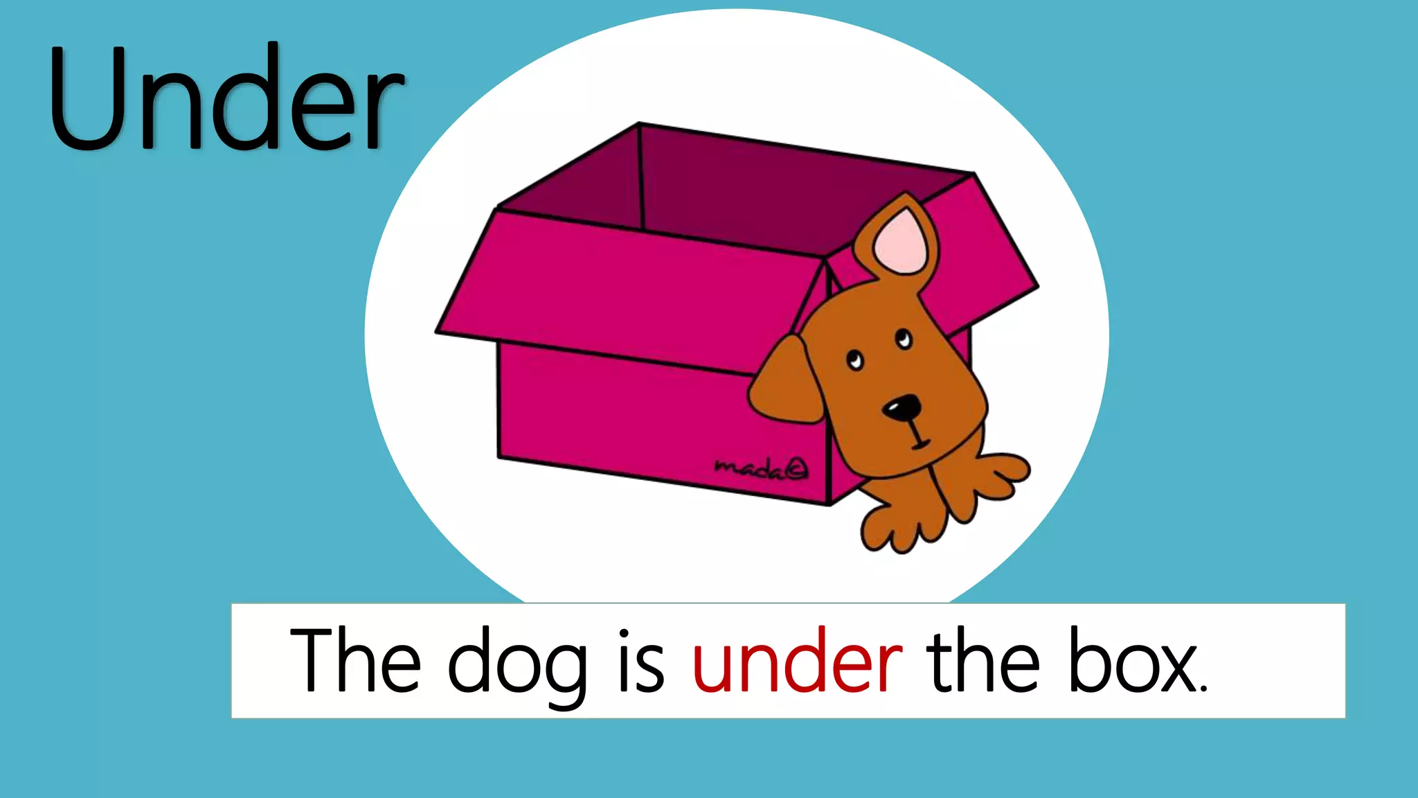 Animals / Prepositions of place | PPTX