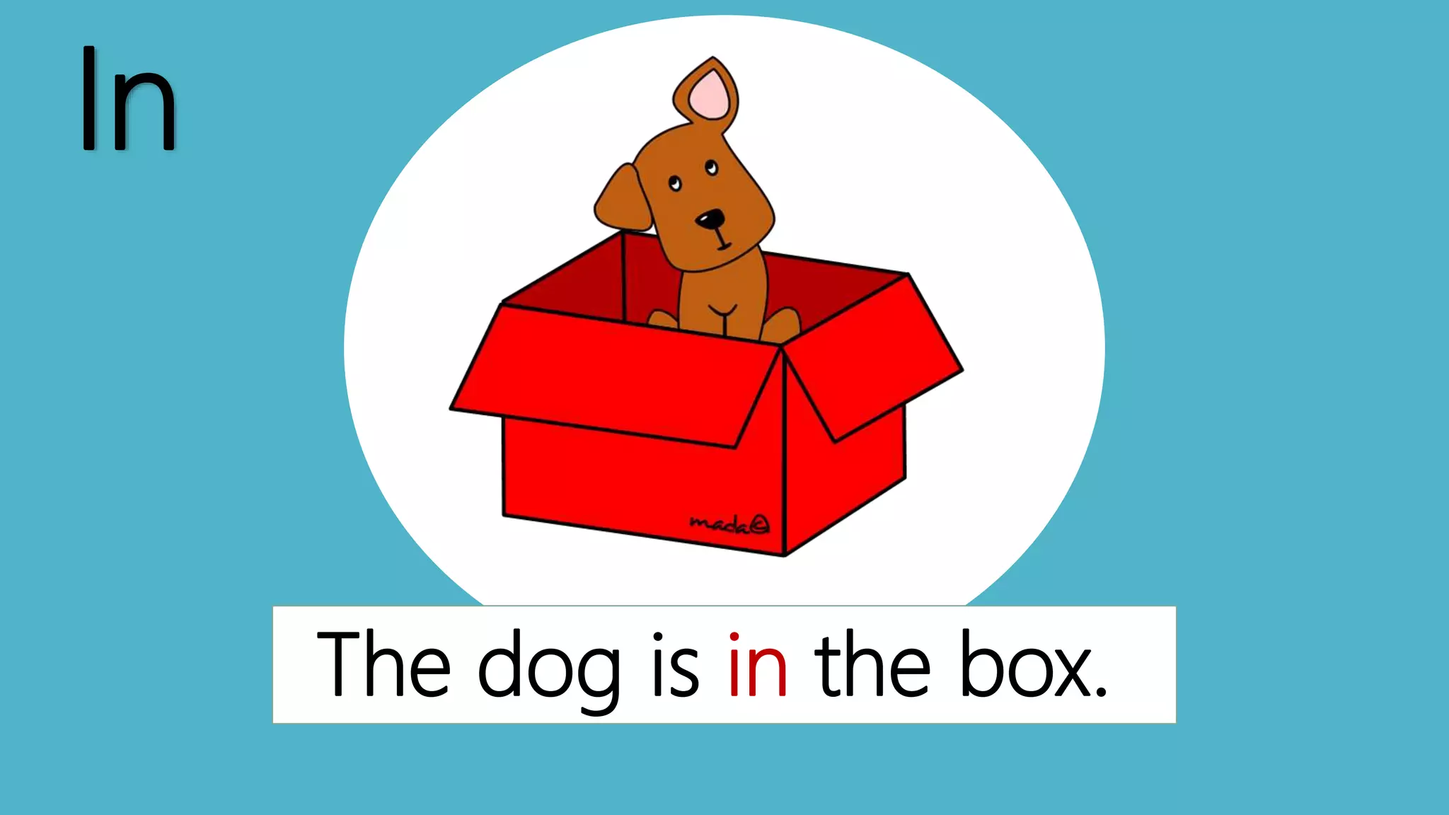 Animals / Prepositions of place | PPTX