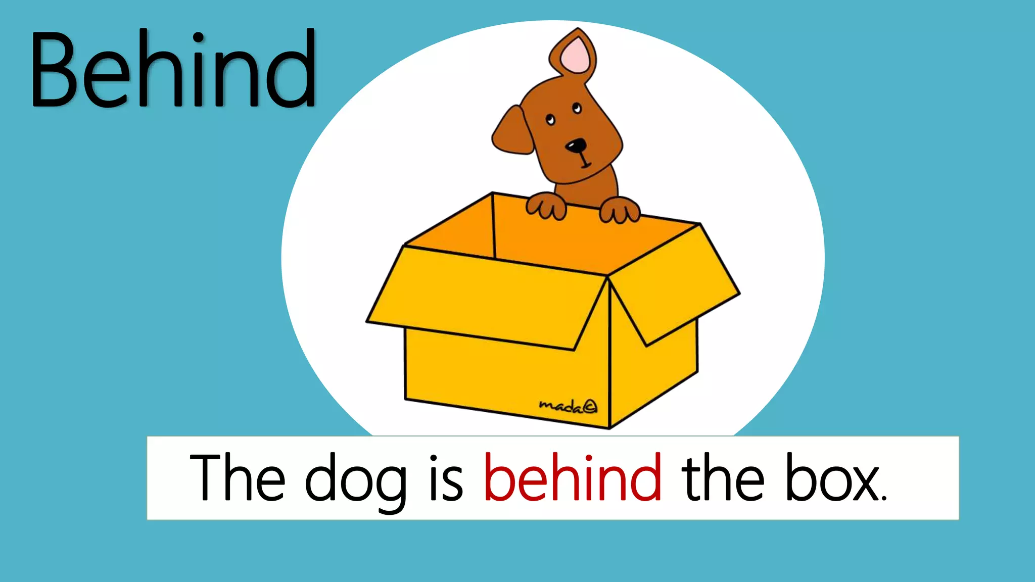 Animals / Prepositions of place | PPTX