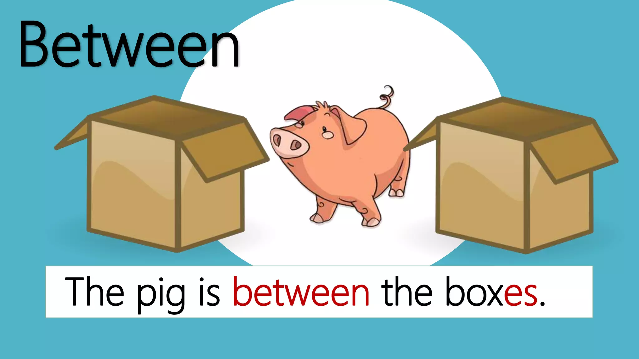 Animals / Prepositions of place | PPTX