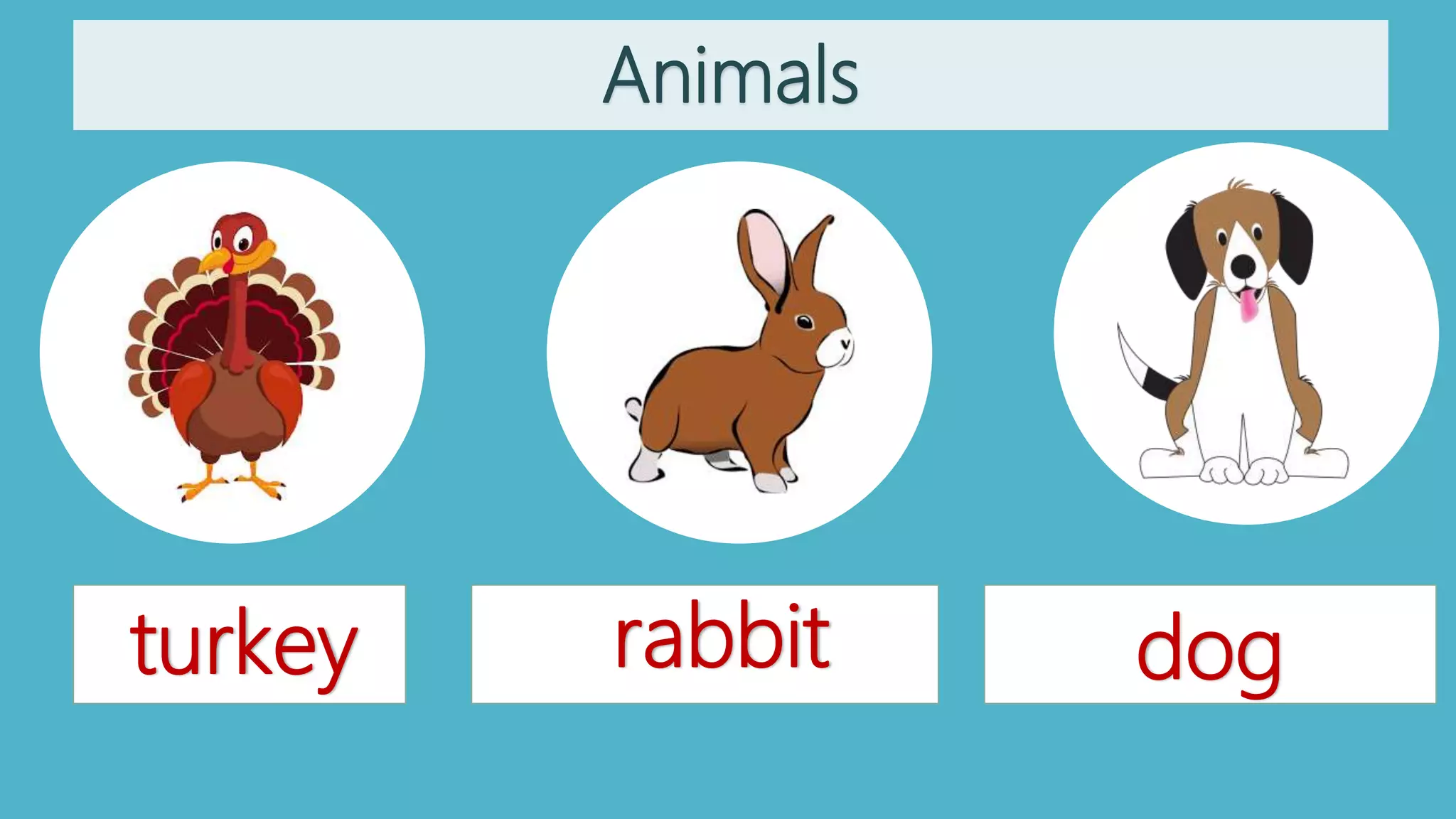 Animals / Prepositions of place | PPTX