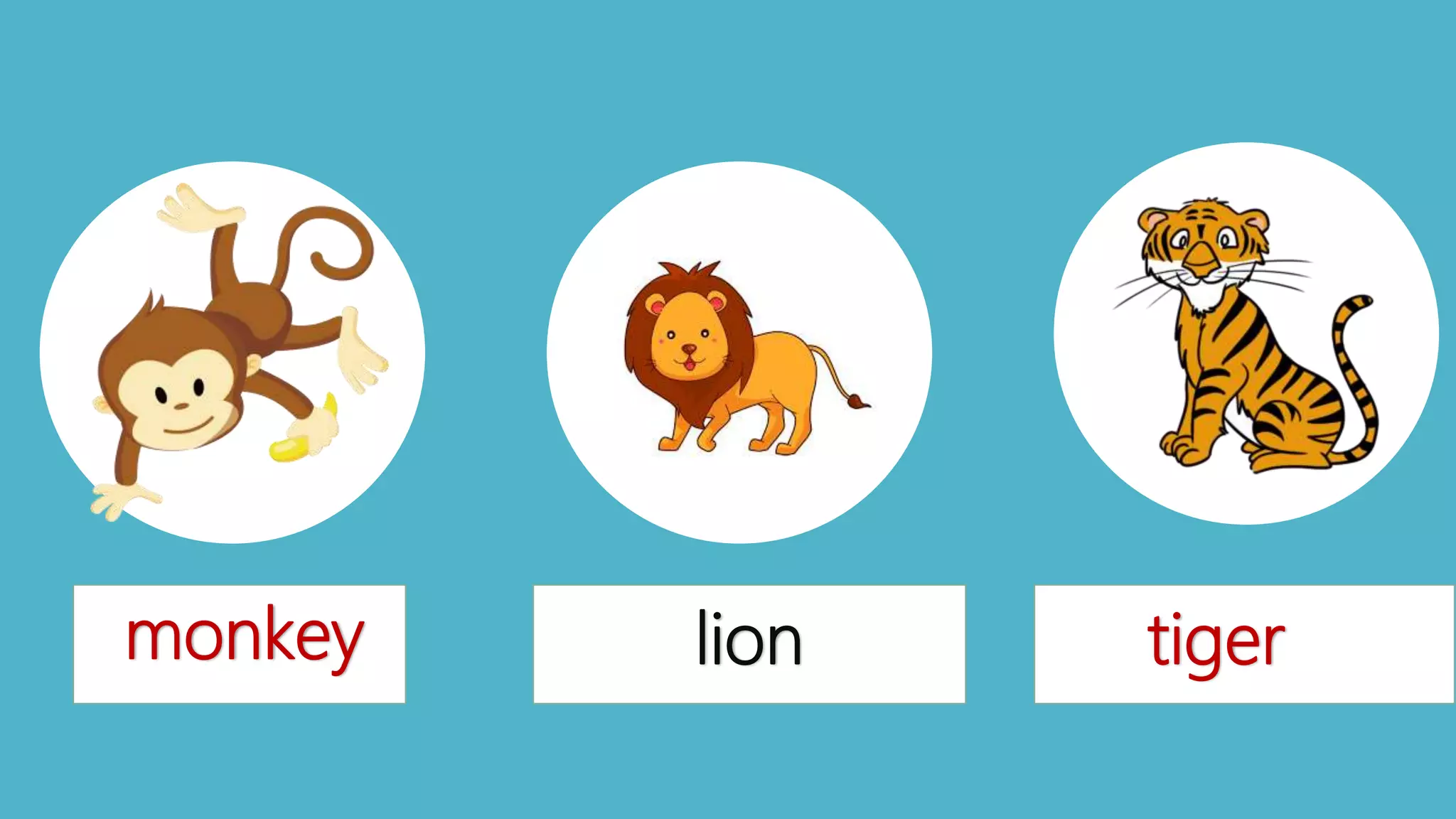 Animals / Prepositions of place | PPTX