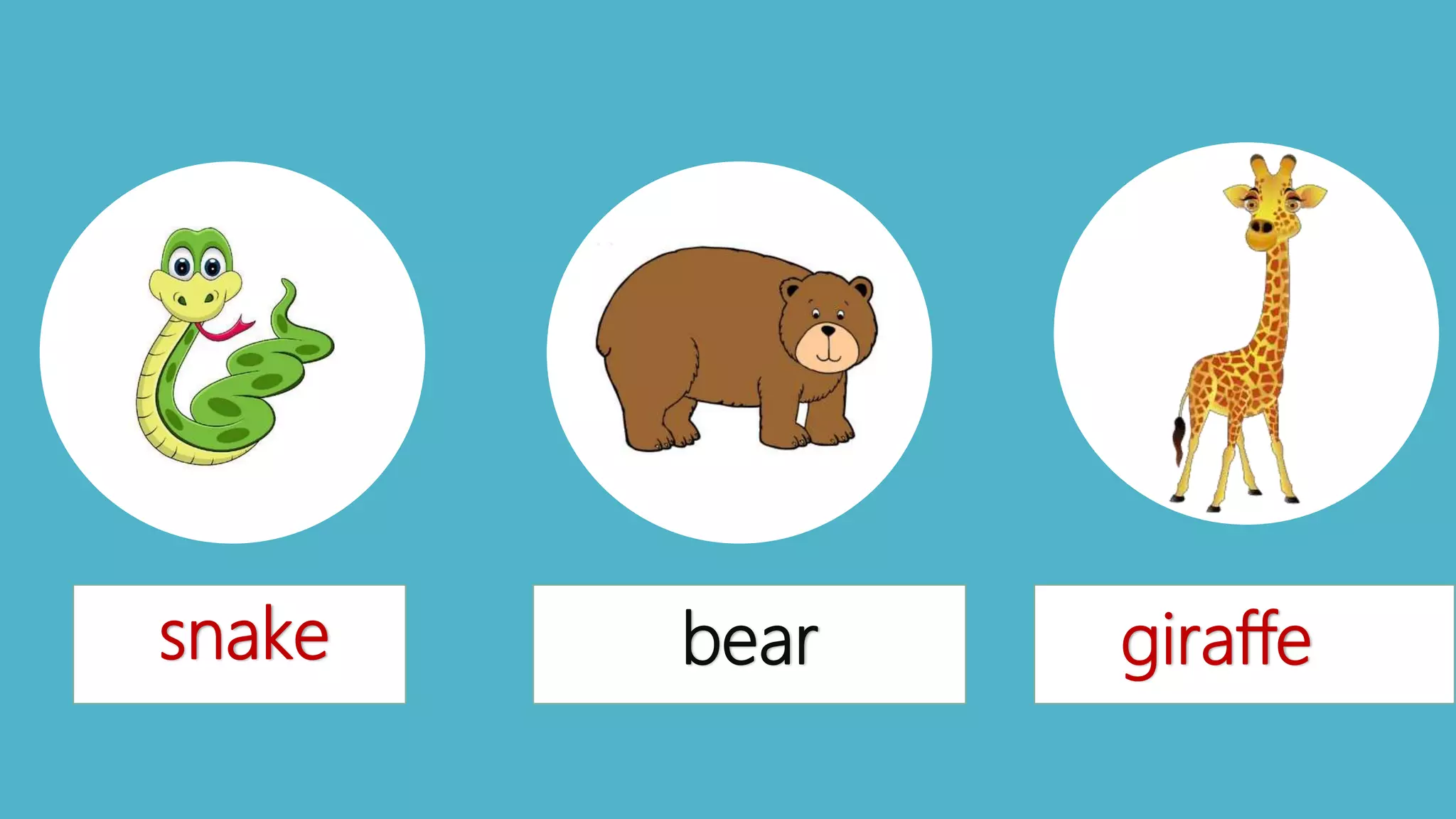 Animals / Prepositions of place | PPTX