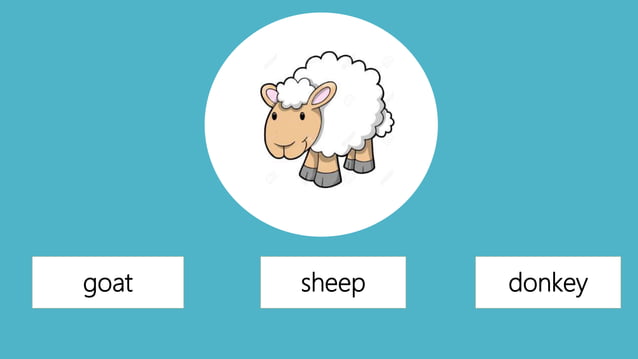 Animals / Prepositions of place | PPTX