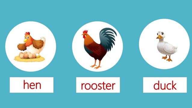 Animals / Prepositions of place | PPTX