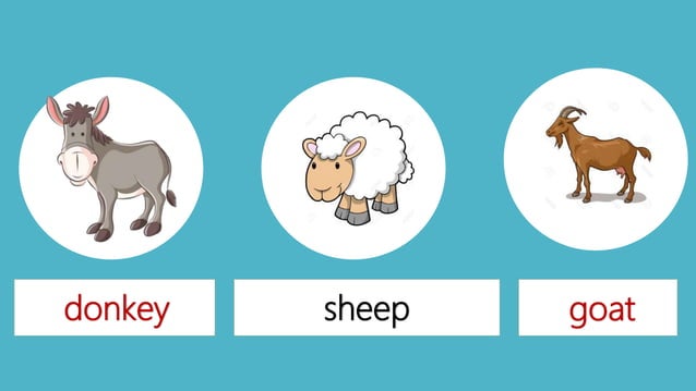 Animals / Prepositions of place | PPTX