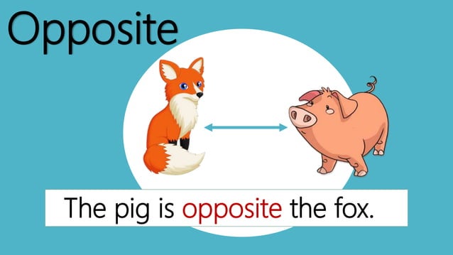 Animals / Prepositions of place | PPTX