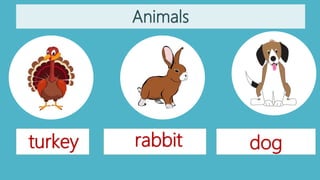 Animals / Prepositions of place | PPTX