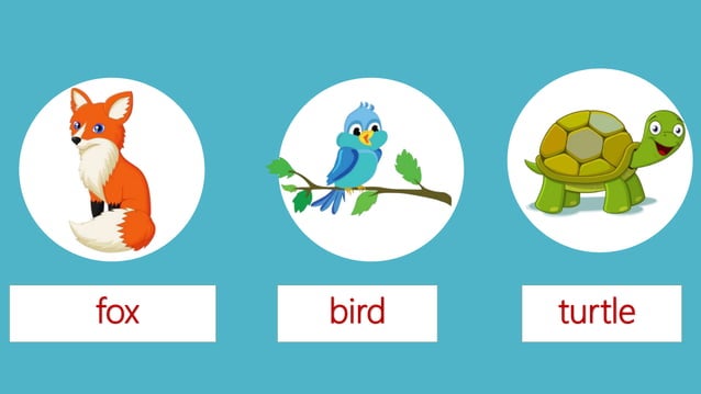 Animals / Prepositions of place | PPTX