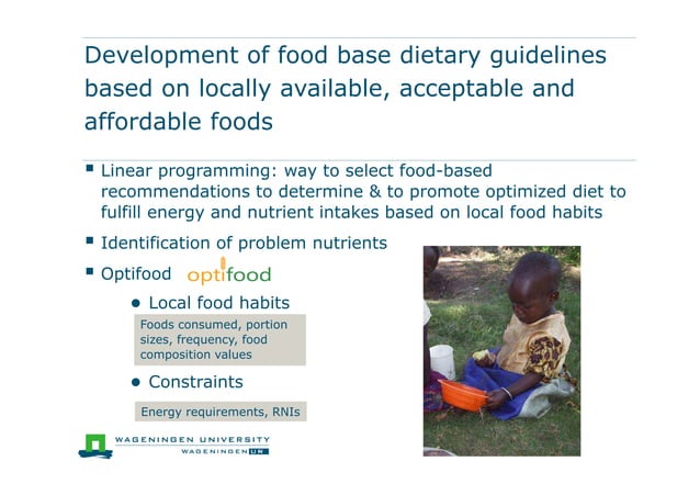 Inge D. Brouwer, Wageningen University "The Dietary Diversity ...