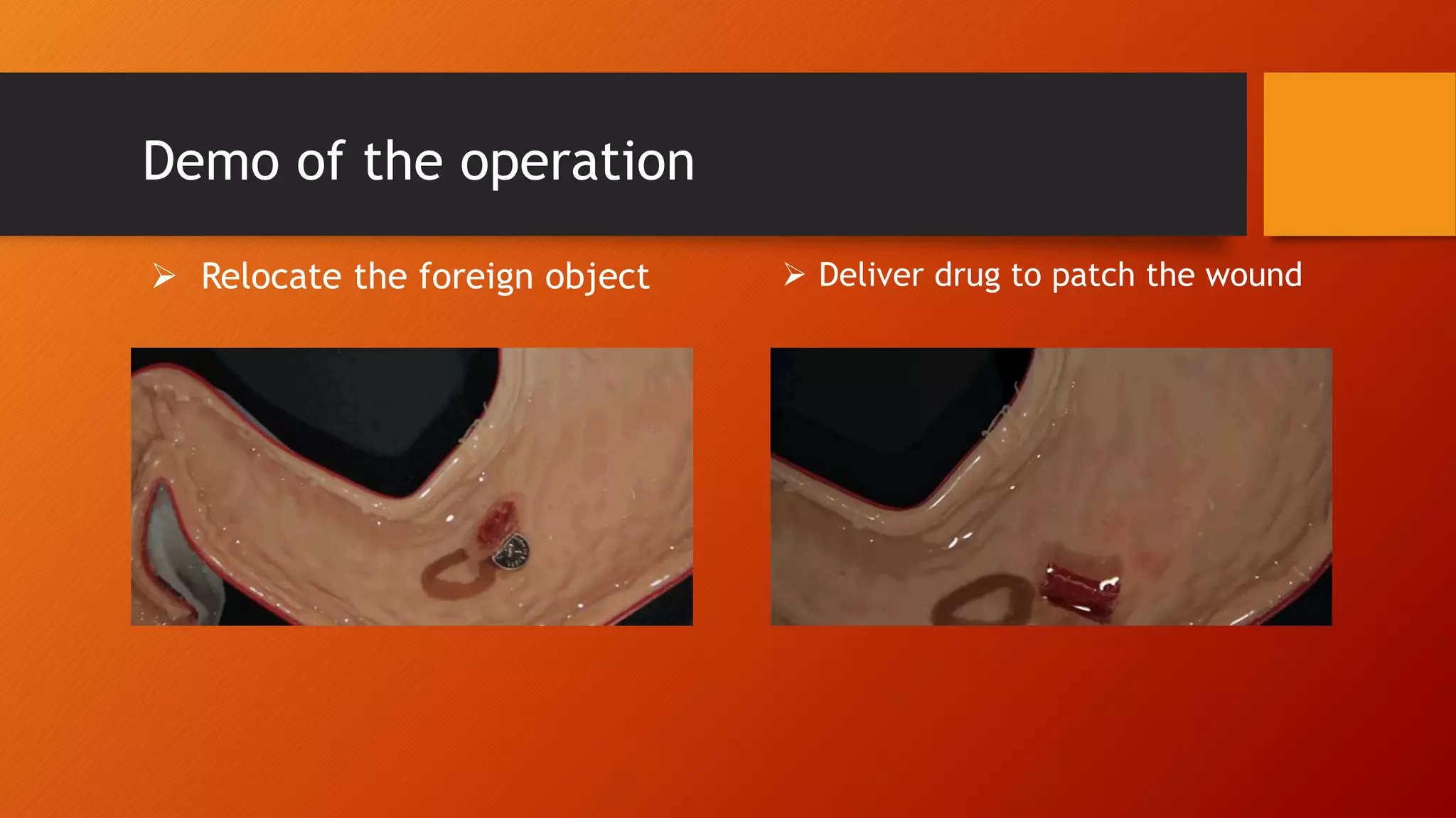 Ingestible origami robots | PPTX