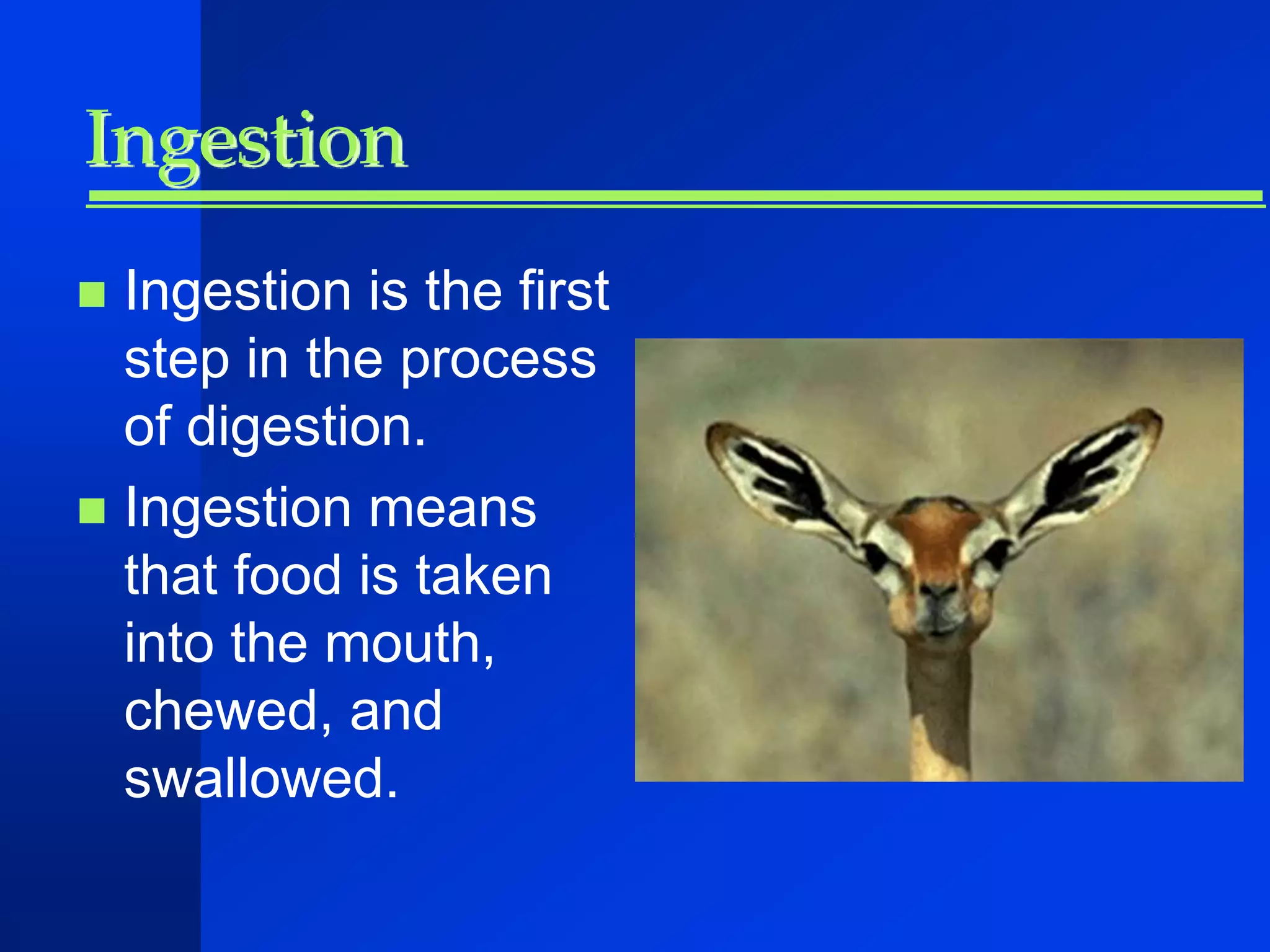 Ingestion | PPTX