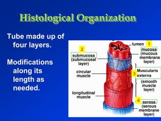 Ingestion | PPTX
