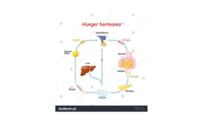 Ingestive behavior | PPT