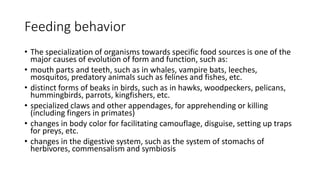 Ingestive behavior | PPT