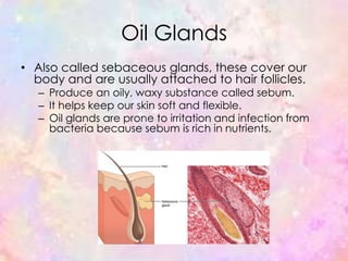 Integumentary System IHS Unit | PPTX