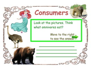 Food Chain | PPT