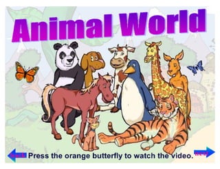 Animal world | PDF