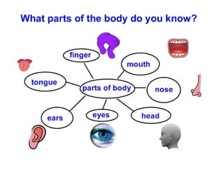 Animals' Senses | PPT