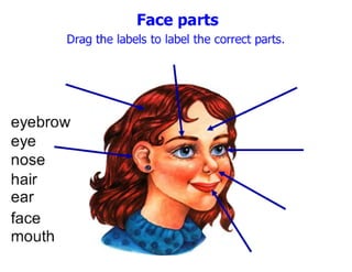 Face parts | PDF