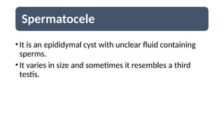 Scrotal Swelling By Mahmoud Abdelaty.pptx