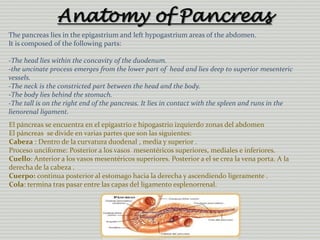 The Pancreas | PPTX