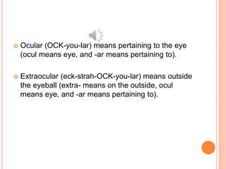 Structures of the Eye | PPT